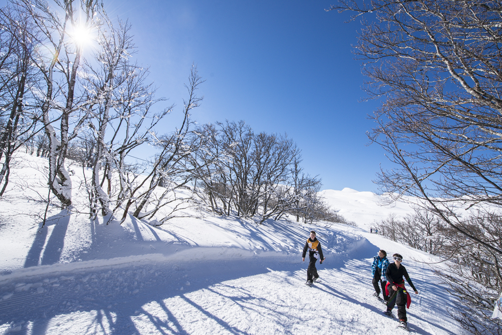 Font d'Urle - Les Stations De Ski de la Drôme