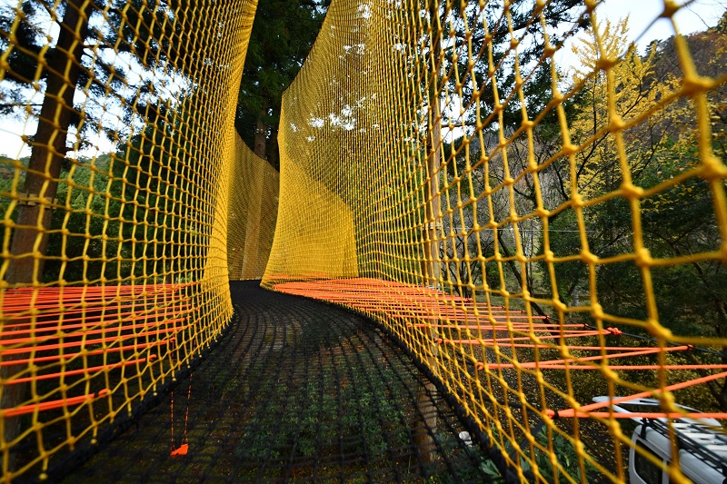 Accrobranche - Les Stations De Ski de la Drôme